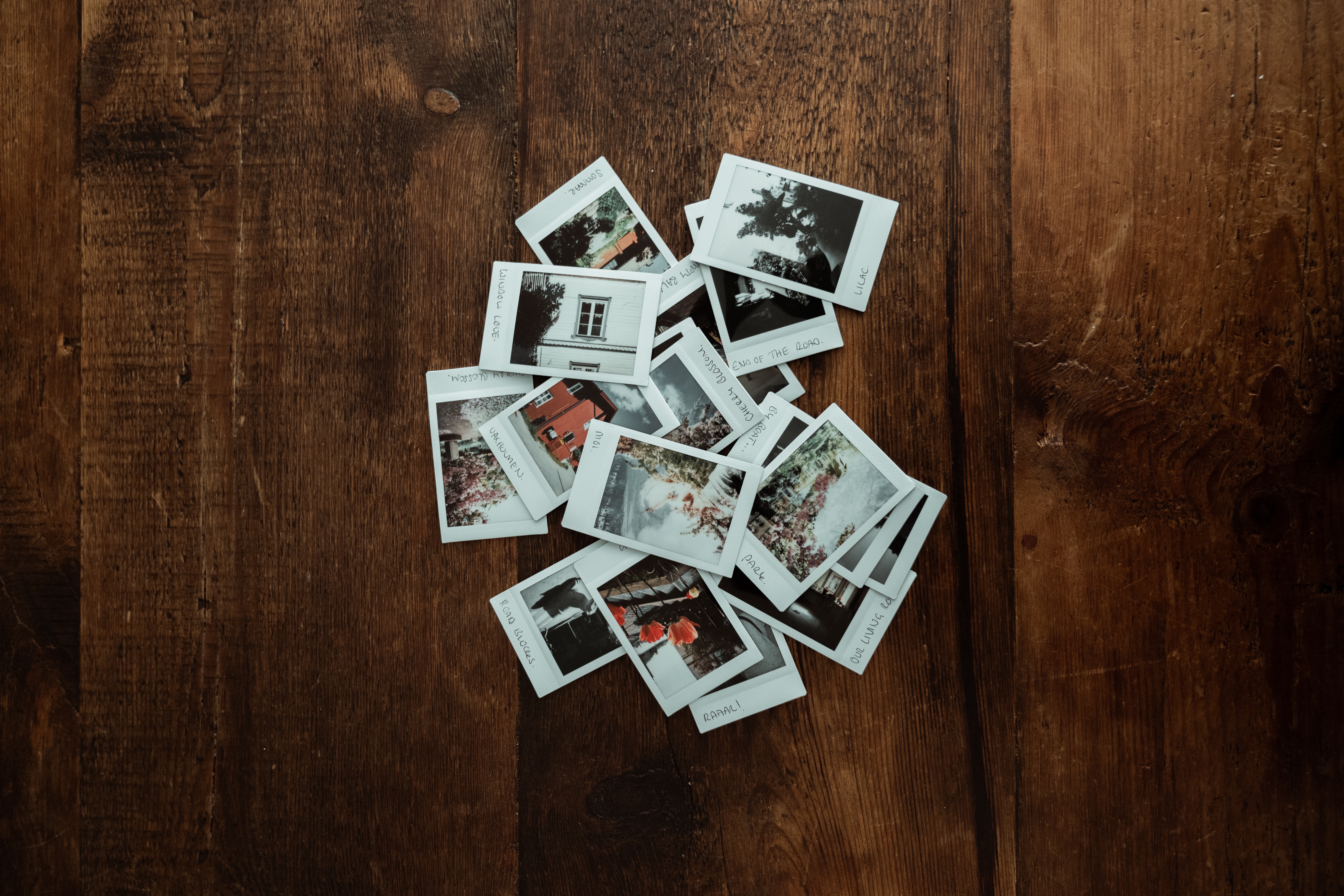 Instant Guide to Instant Photography | 100ASA