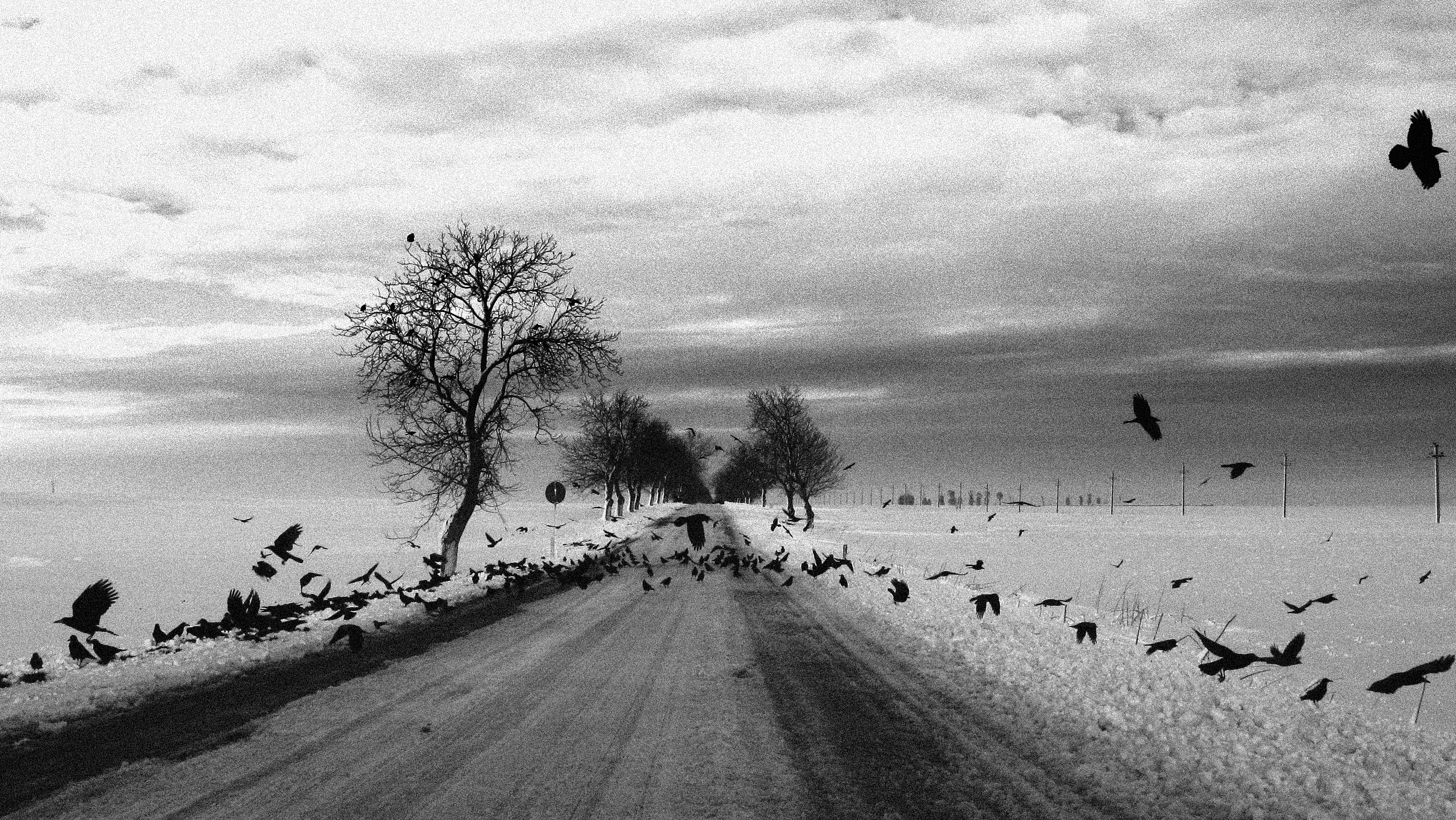 Atmosphere, poetry and photography in the visual creations of Emilian ...