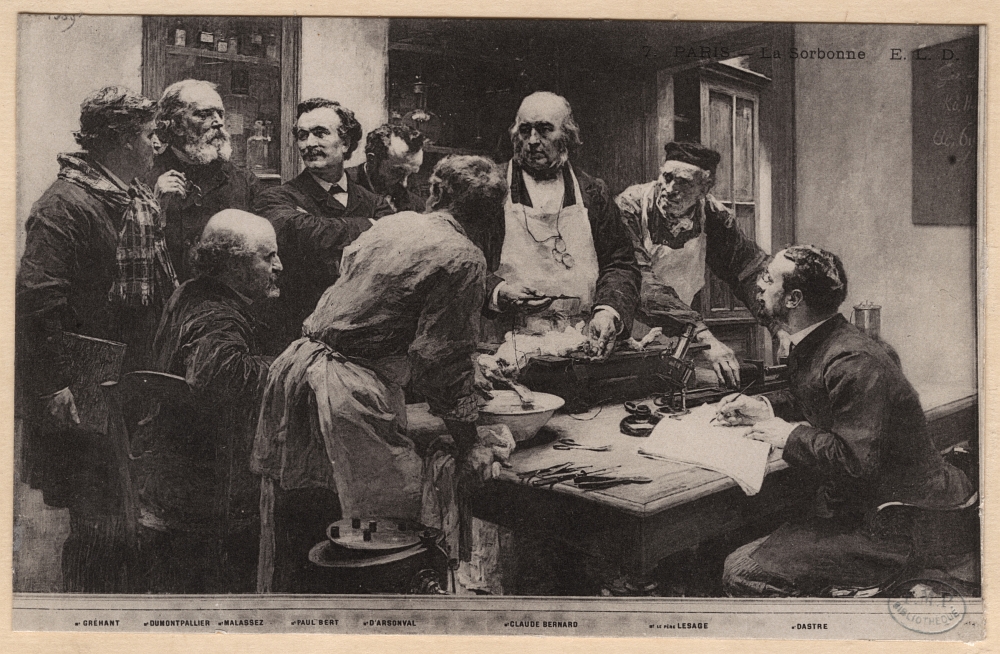 Exploring Collotype Photography: A Historic Printing Process | 100ASA