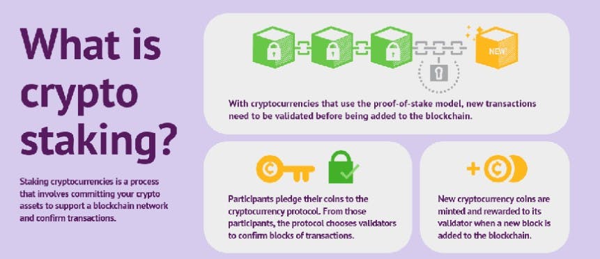 Crypto Staking 101: A Popular Way to Earn Passive Income in 2025