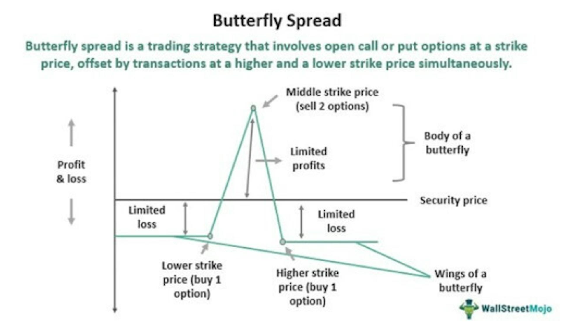 A Detailed Guide to Successful Trading Using the Butterfly Option ...