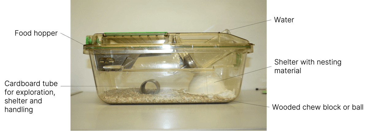 Housing | The 3Hs Initiative