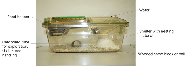 Housing | The 3Hs Initiative