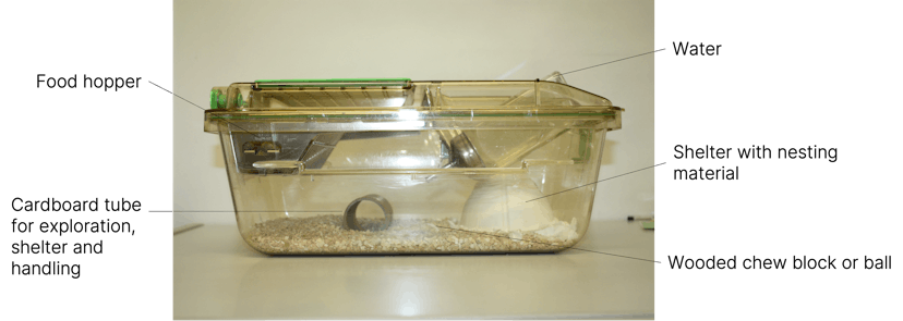 Housing | The 3Hs Initiative