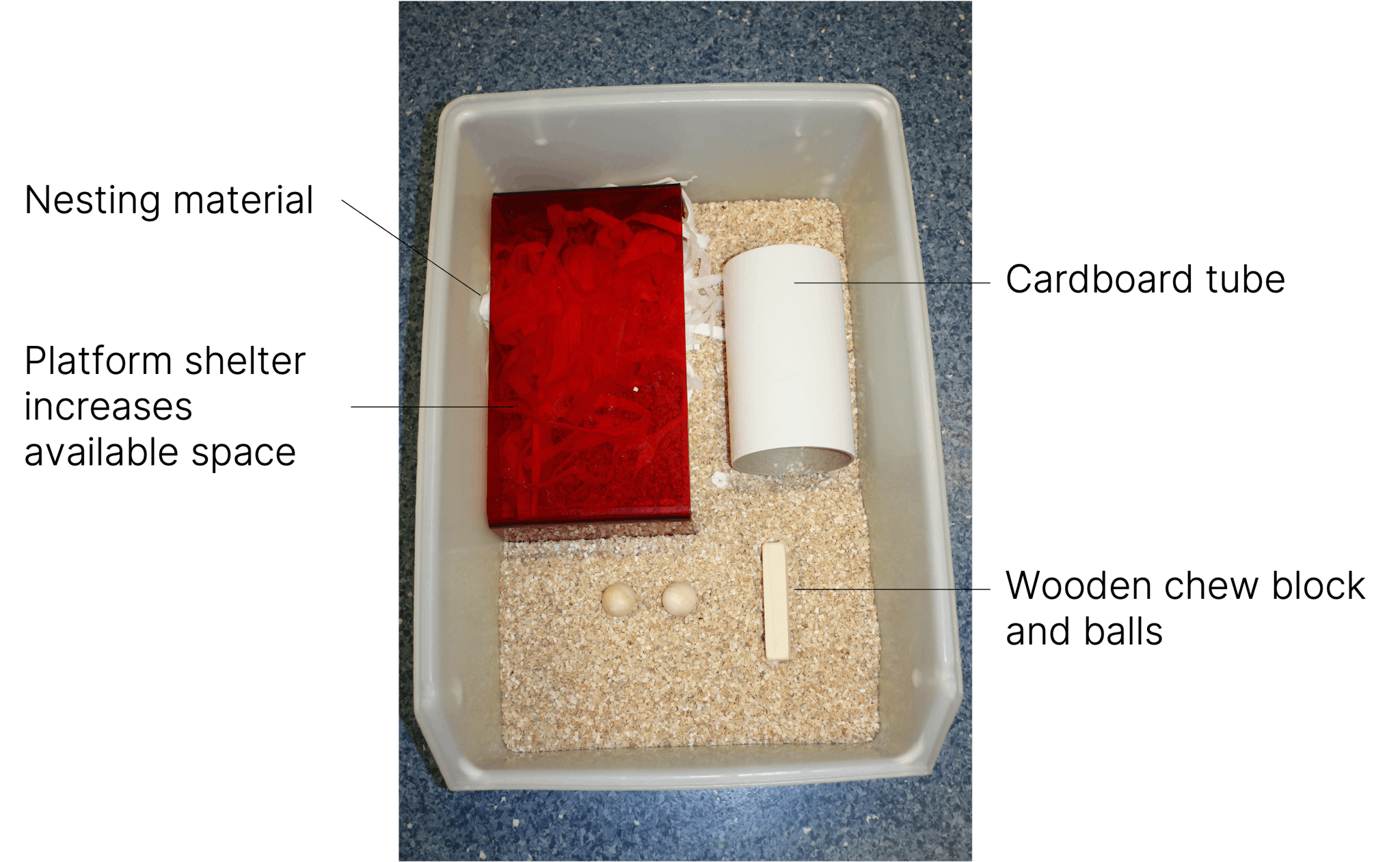 Housing | The 3Hs Initiative