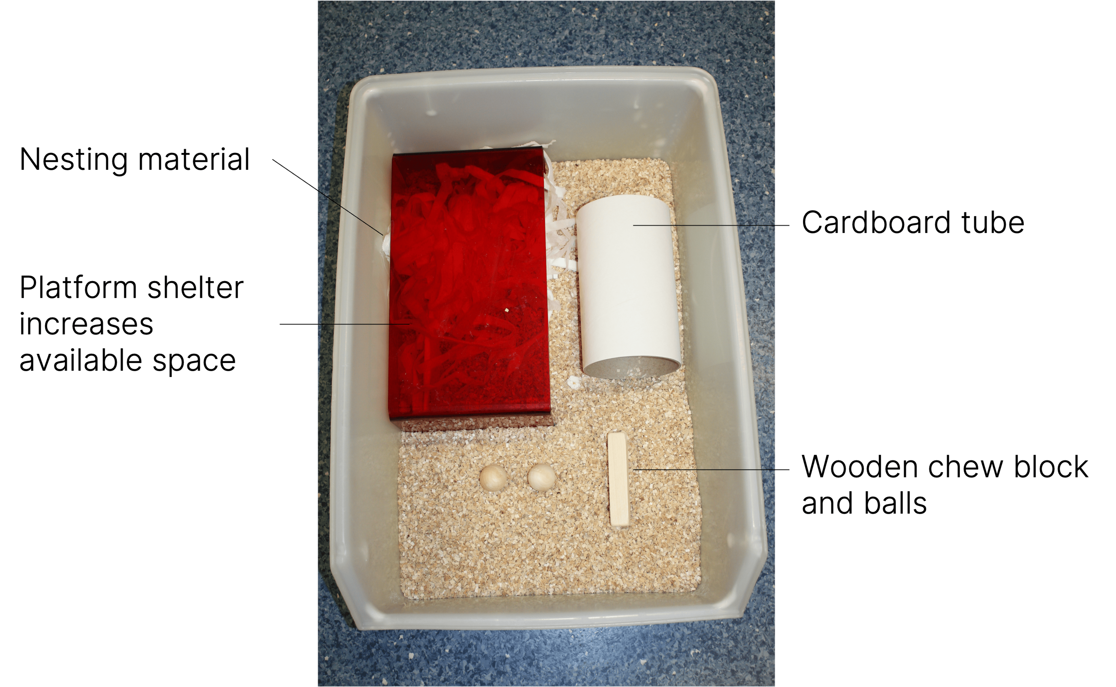 Housing | The 3Hs Initiative