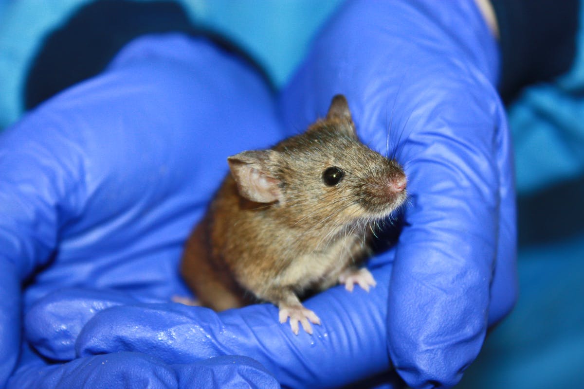 Handling | The 3Hs Initiative