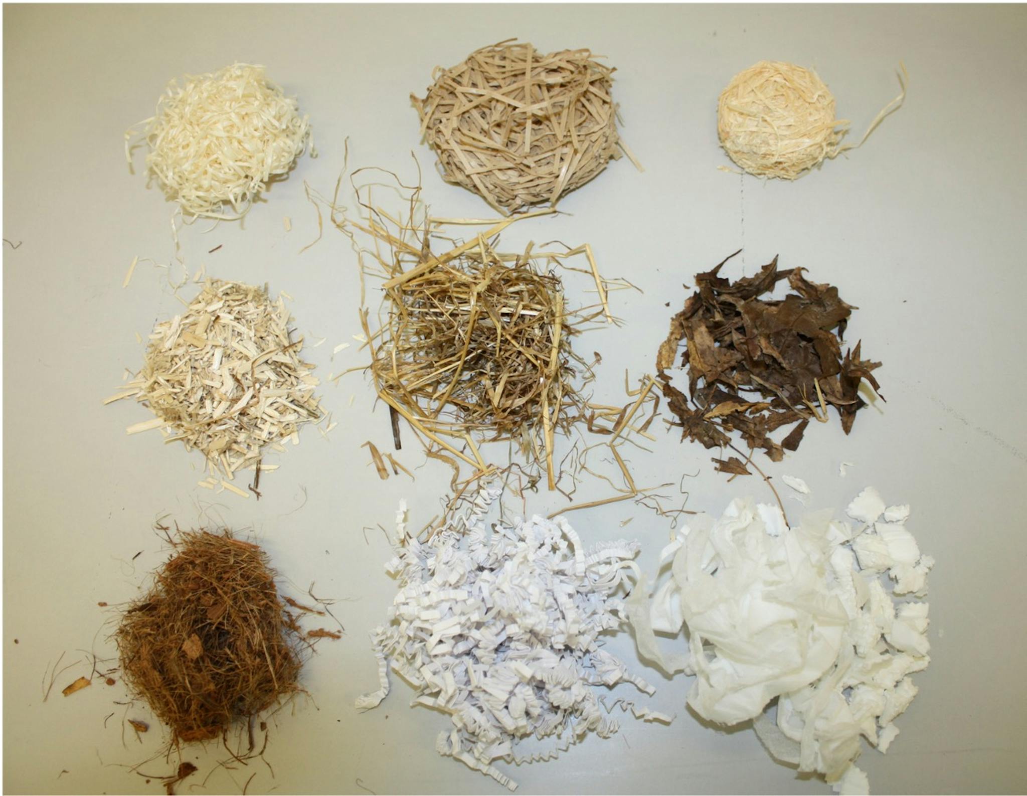 Housing | The 3Hs Initiative