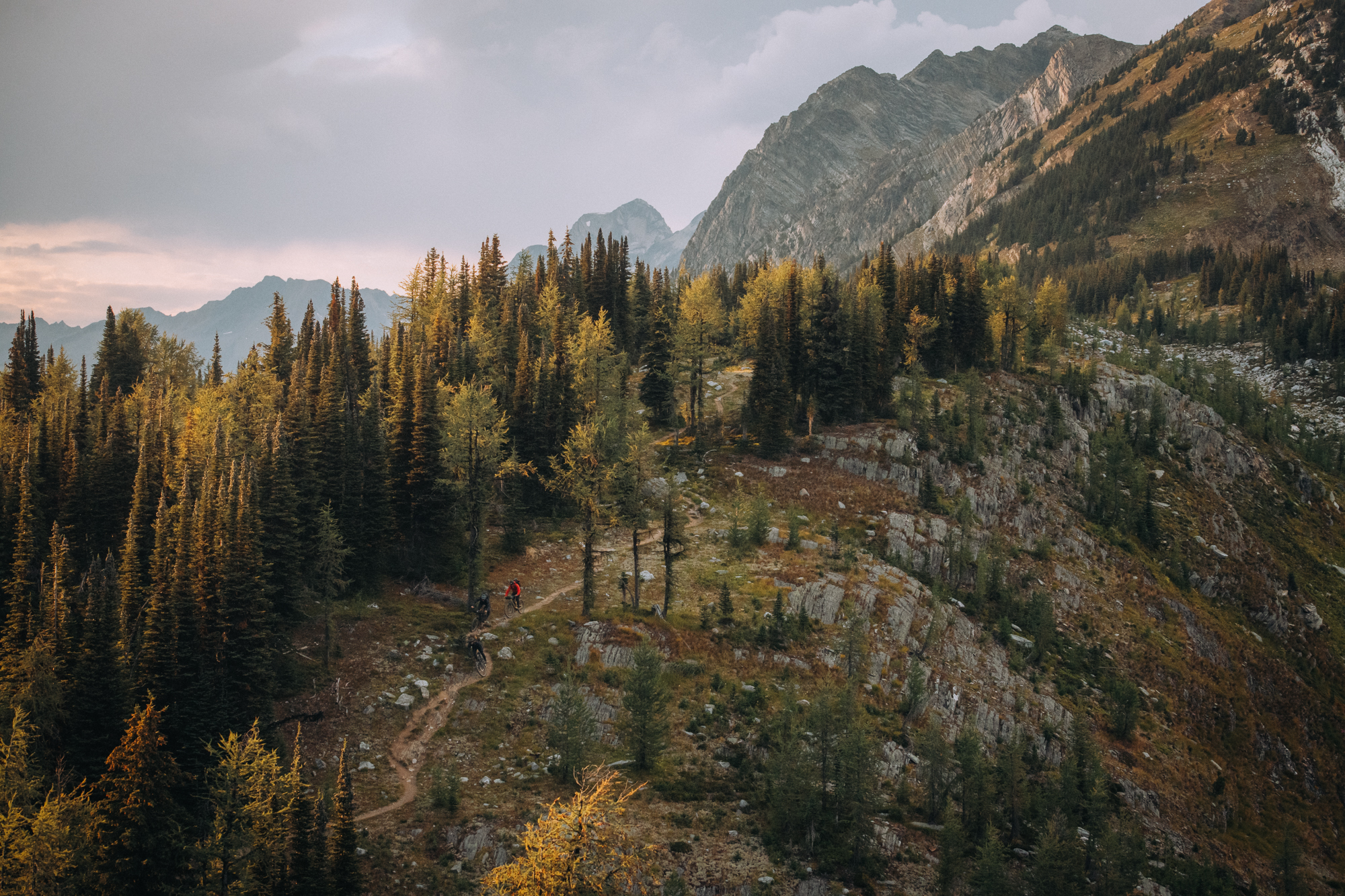 Margus Riga: Pure Feral Happiness | 7mesh