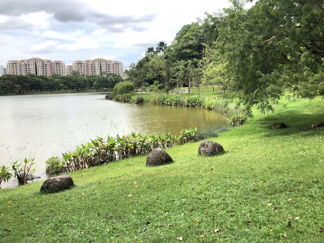 Tanjong Tree Residences @ Hougang HDB - Prices & Reviews | 99.co