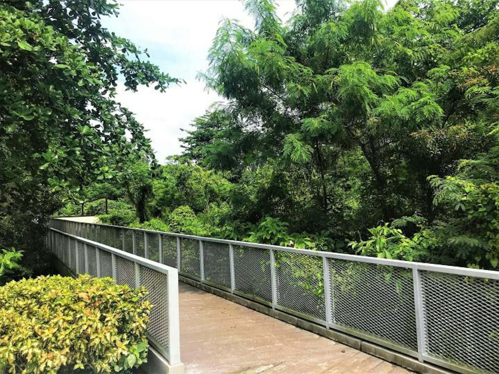 The Rochester Residences Condo - in Buona Vista / West Coast / Clementi ...