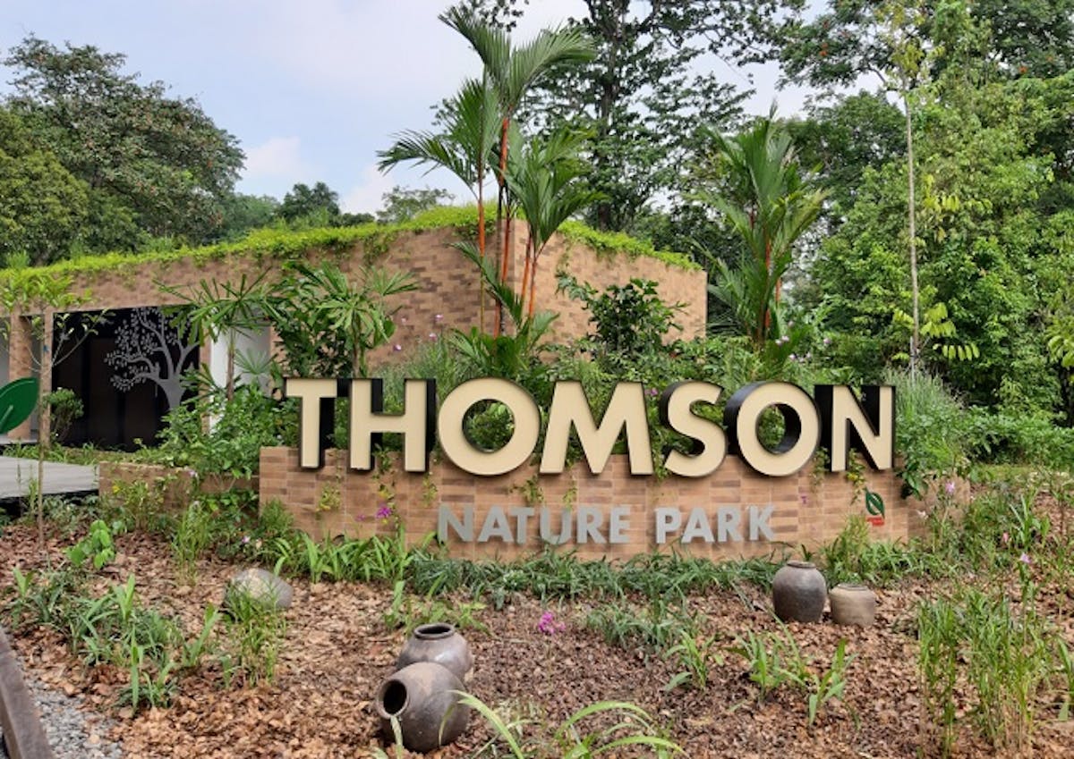 Lentor Modern Condo in Mandai / Upper Thomson by GuocoLand, New Launch ...