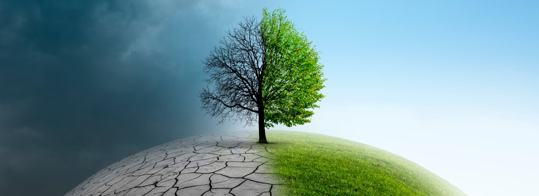ESG Wrap — Climate change poses wurst risk for Weener Plastics, Crown ...