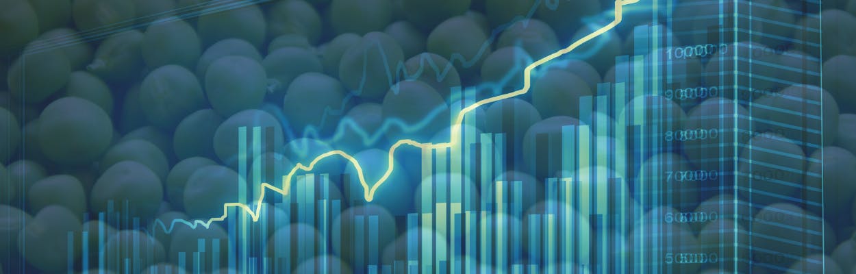 Punch pub lunch, peas with a pinch of salt