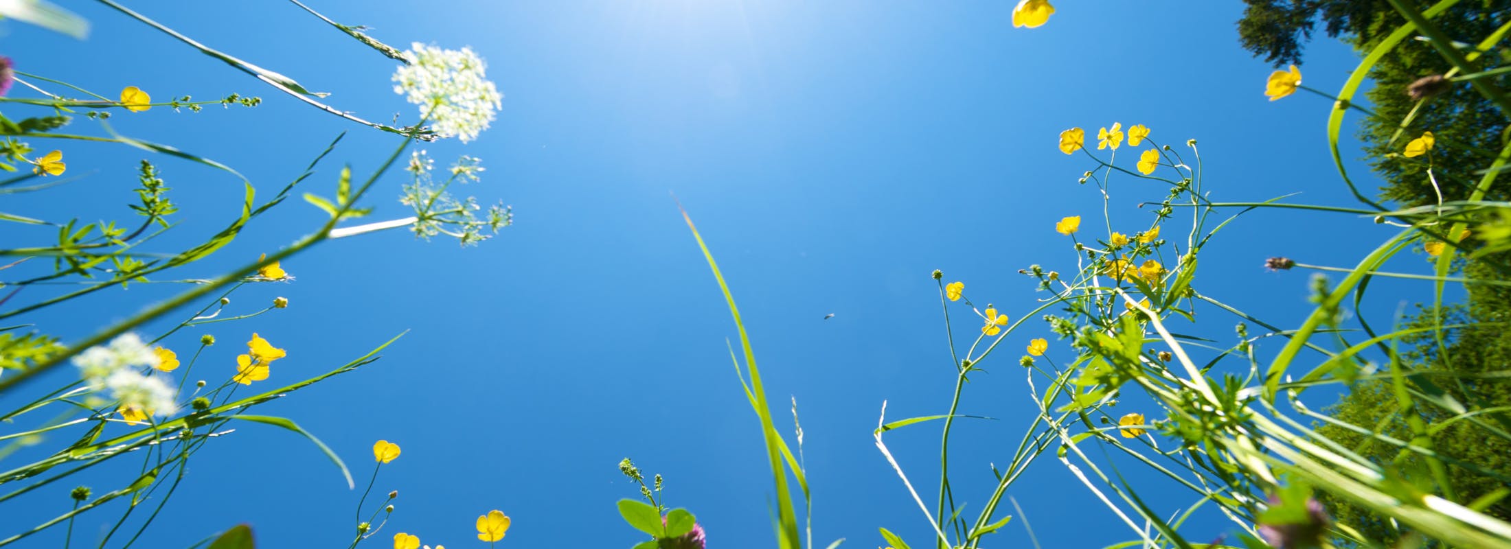 9Questions — Michael Small, KKR — Surviving the summer lull — Defaults ...