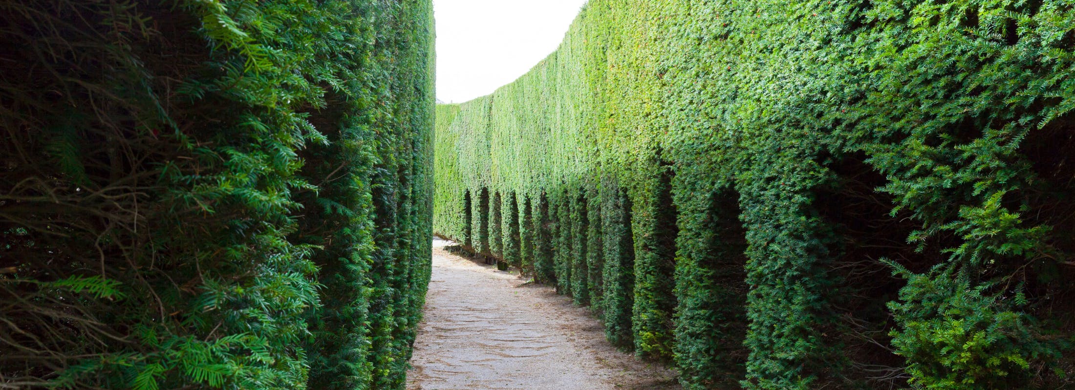 Hedge funds want in on private credit — but are they ready for it?