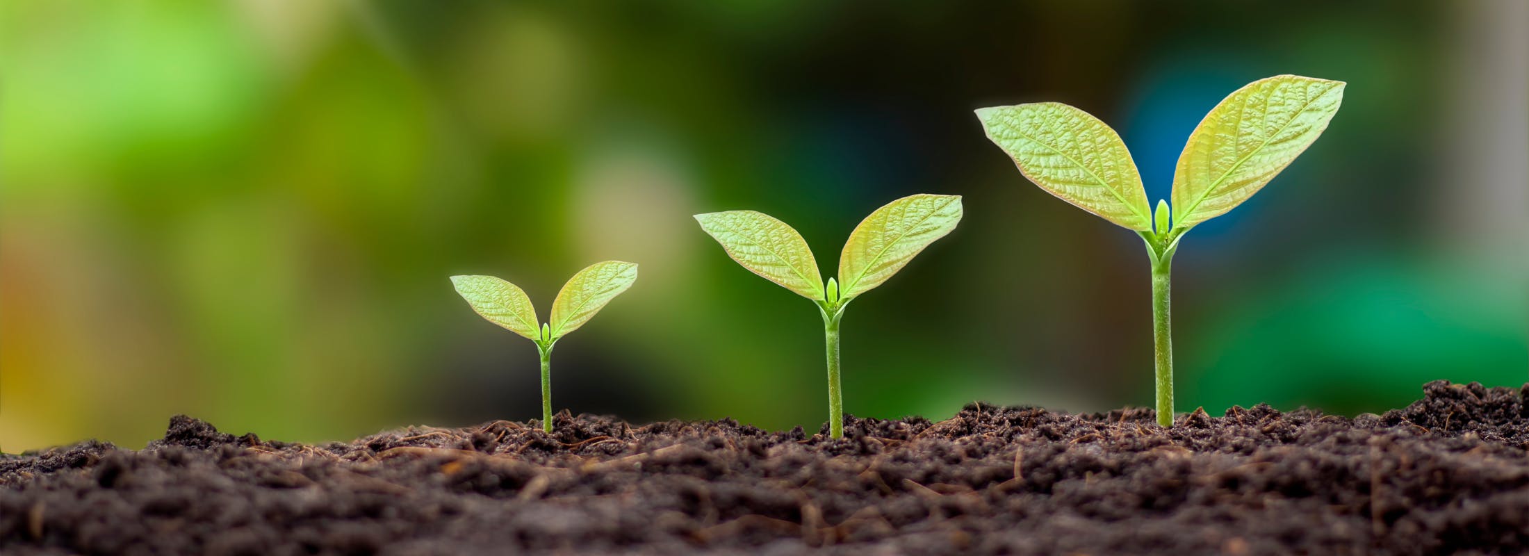 9Questions — Jon Weber, JFW — Unlocking the potential of restructured ...