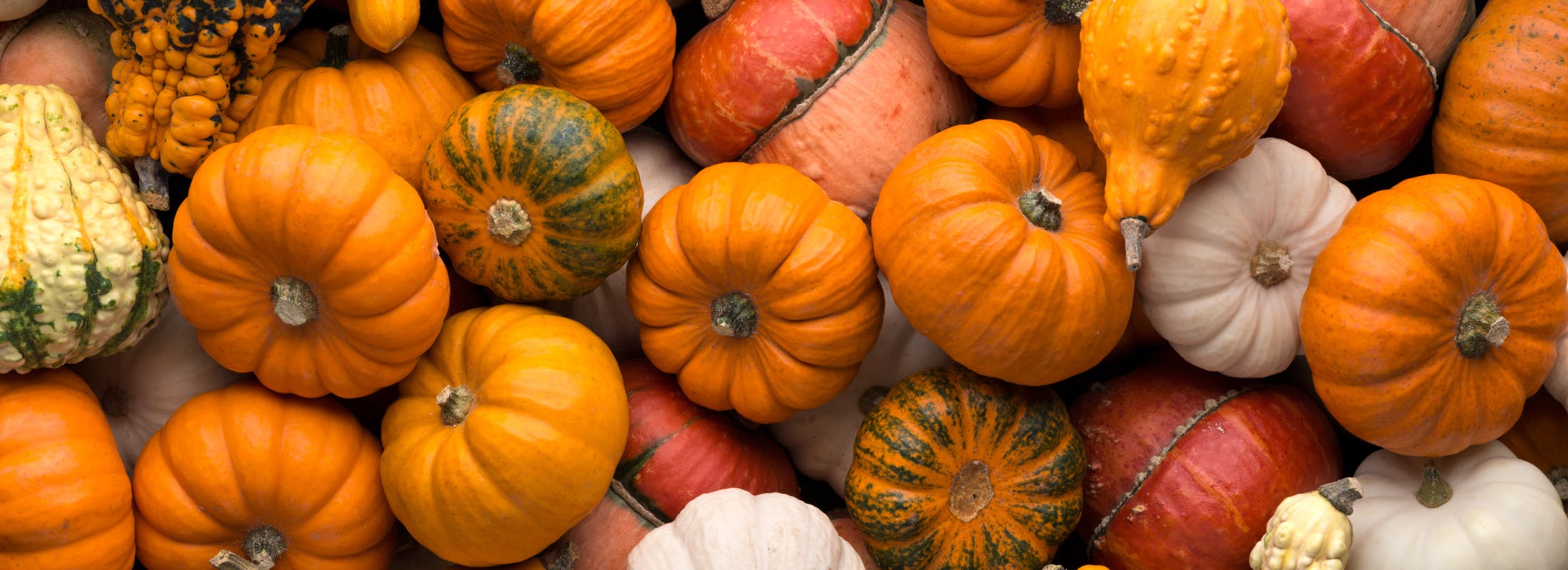 9Questions — Angelo Rufino, Bain Capital — Going for the in-between