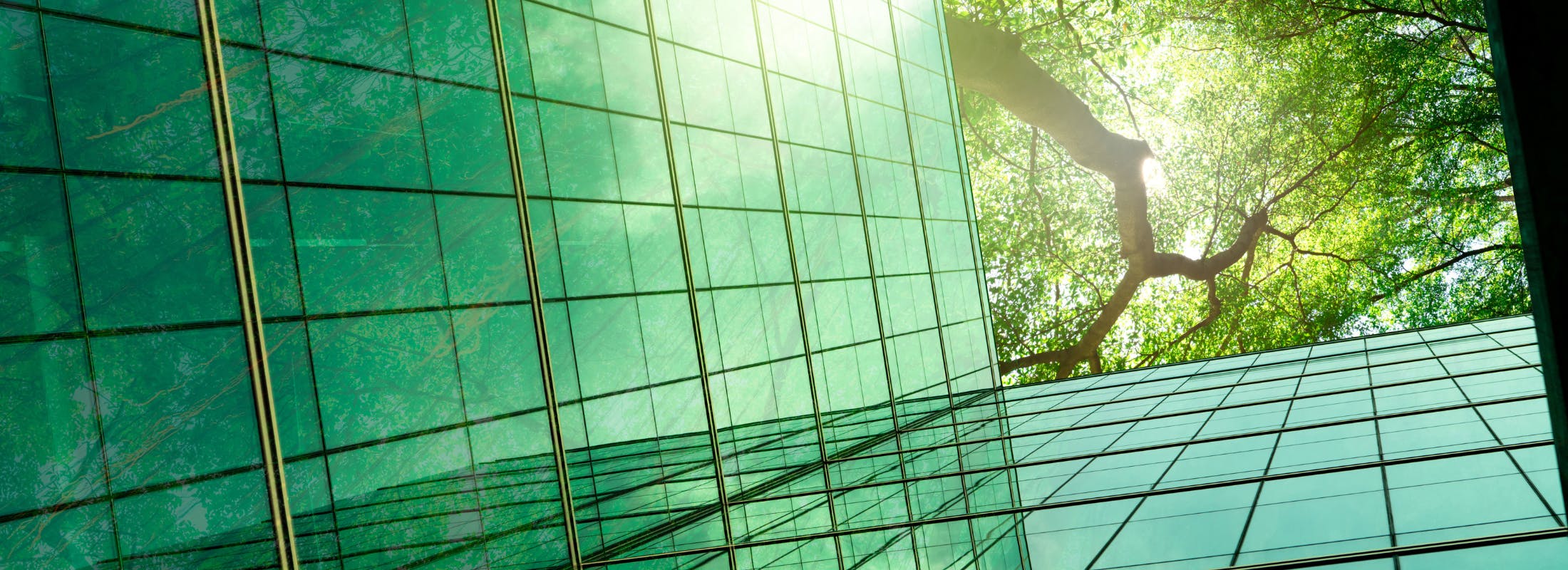 ESG Wrap — EnvironmENEL targets missed by SLB issuer, workers bored of Ford