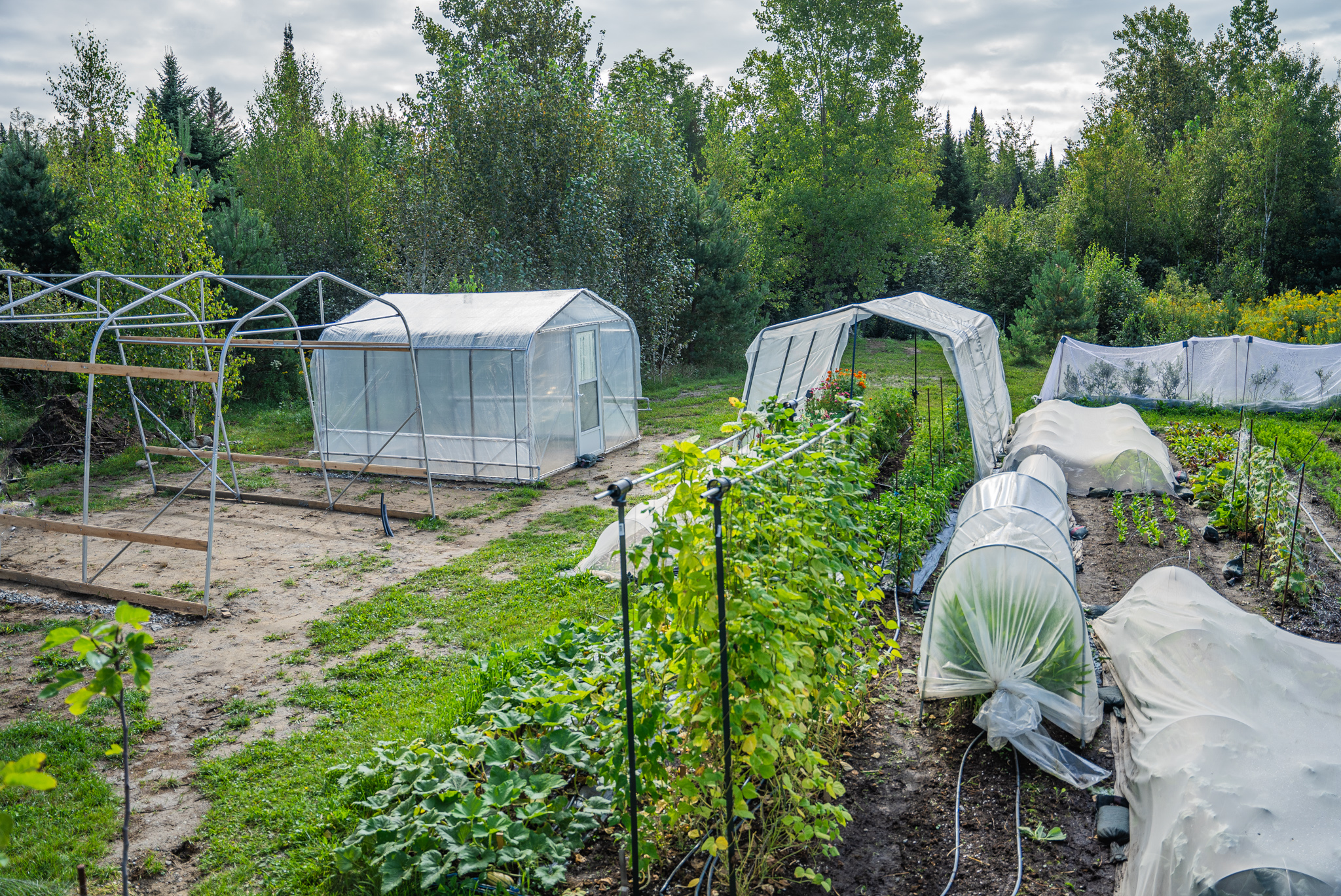 Serre et Structures potagères - L'Académie Potagère
