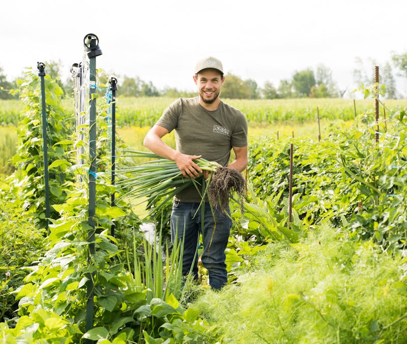 Comment démarrer son premier potager ? - L'Académie Potagère