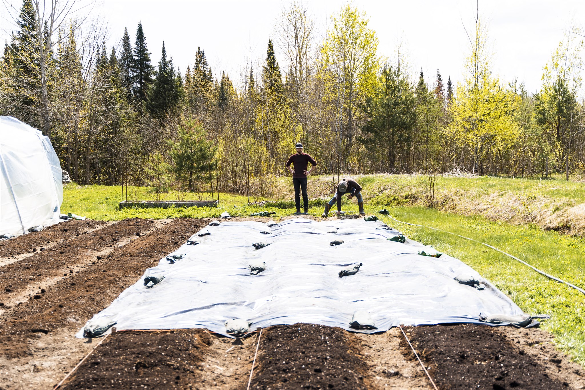 Comment démarrer son premier potager ? - L'Académie Potagère