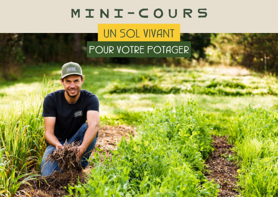 Mini-cours GRATUIT : Un sol vivant pour votre potager ! - L'Académie Potagère