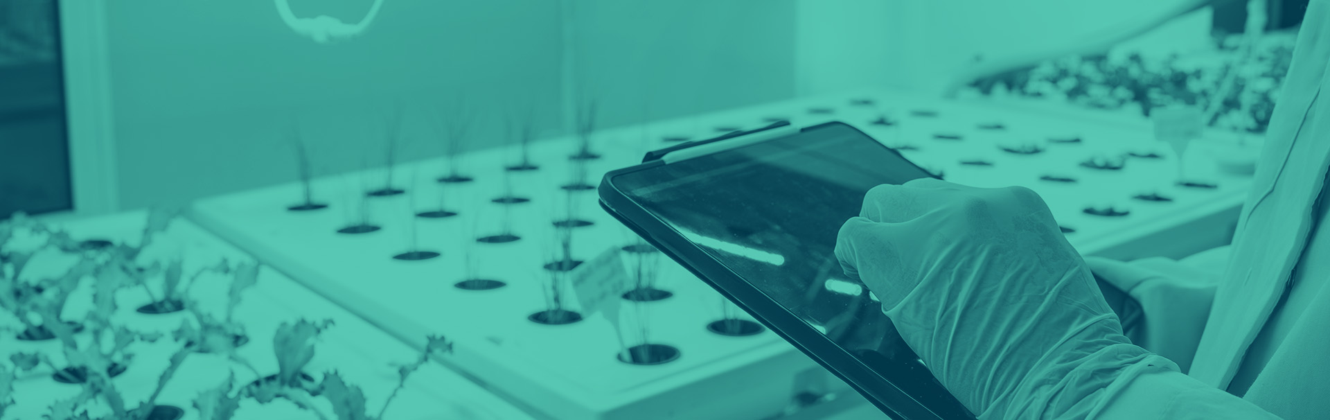 Climate Change and Agriculture | Acadian Plant Health