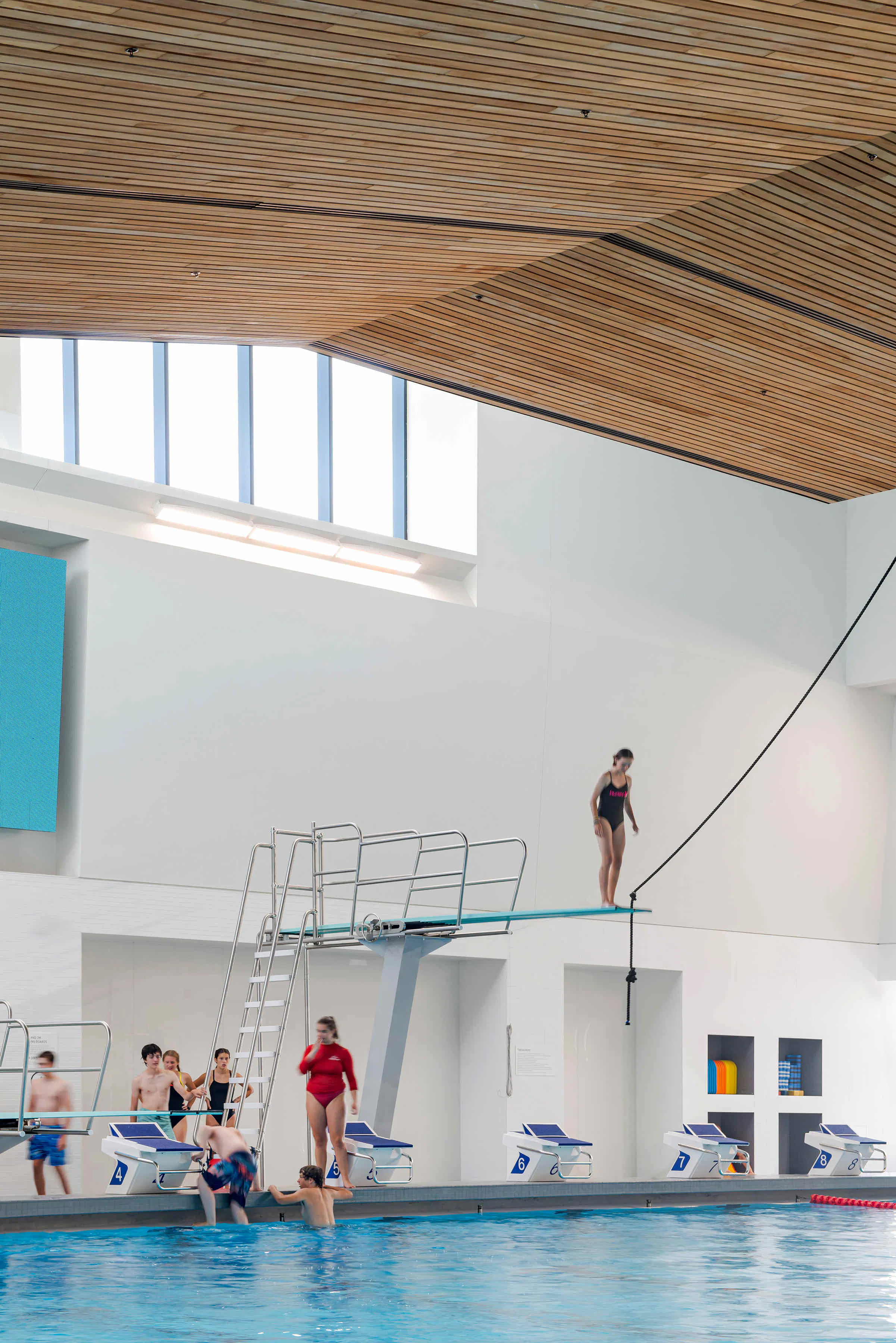 A diver standing on a springboard prepares to jump into an indoor pool ...