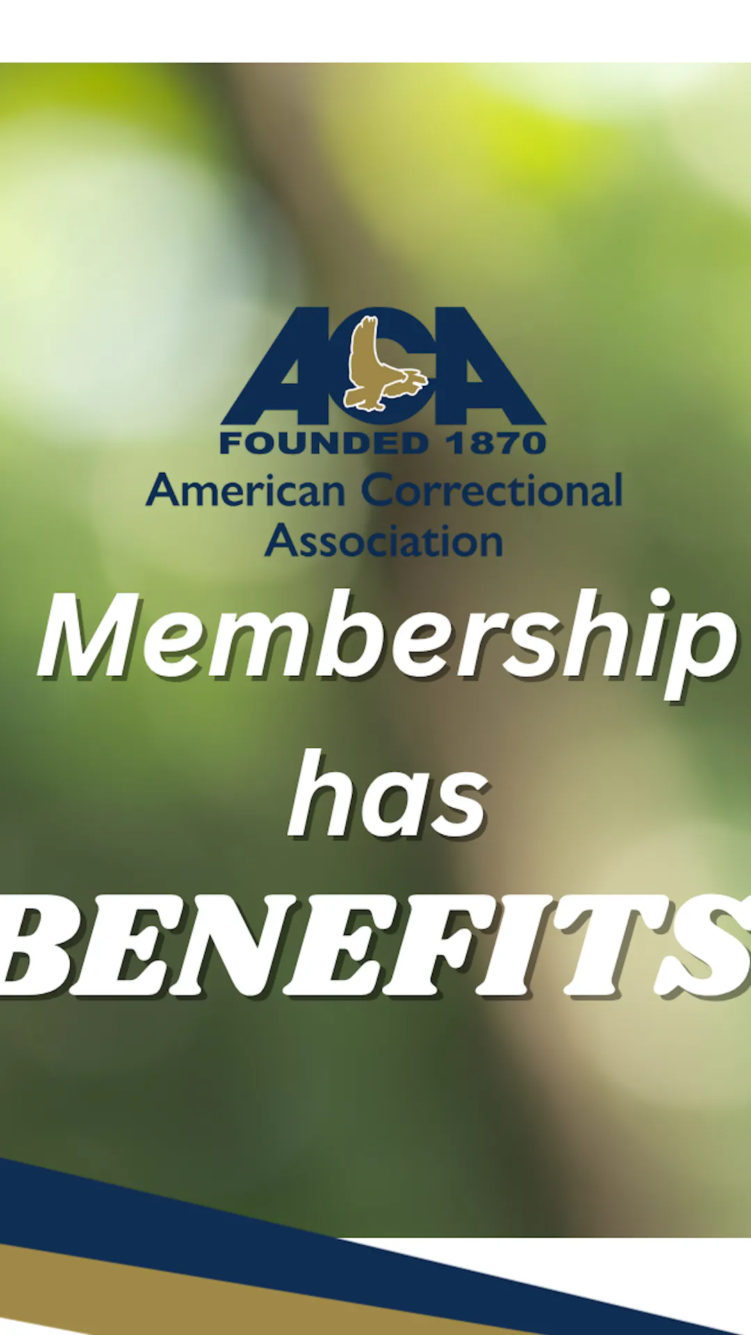 ACA - American Correctional Association