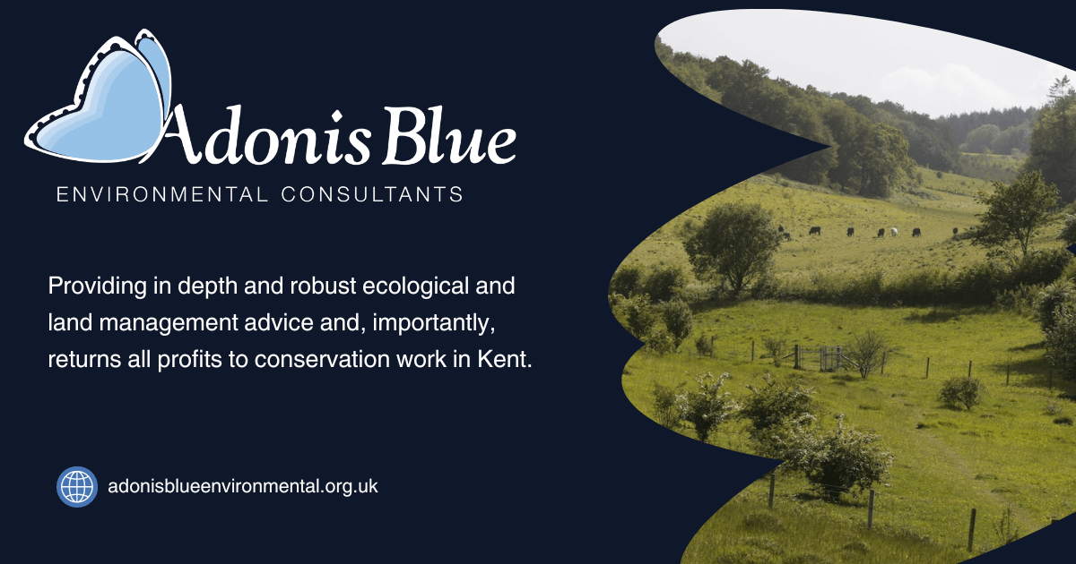 Welcome to Adonis Blue Environmental Consultancy