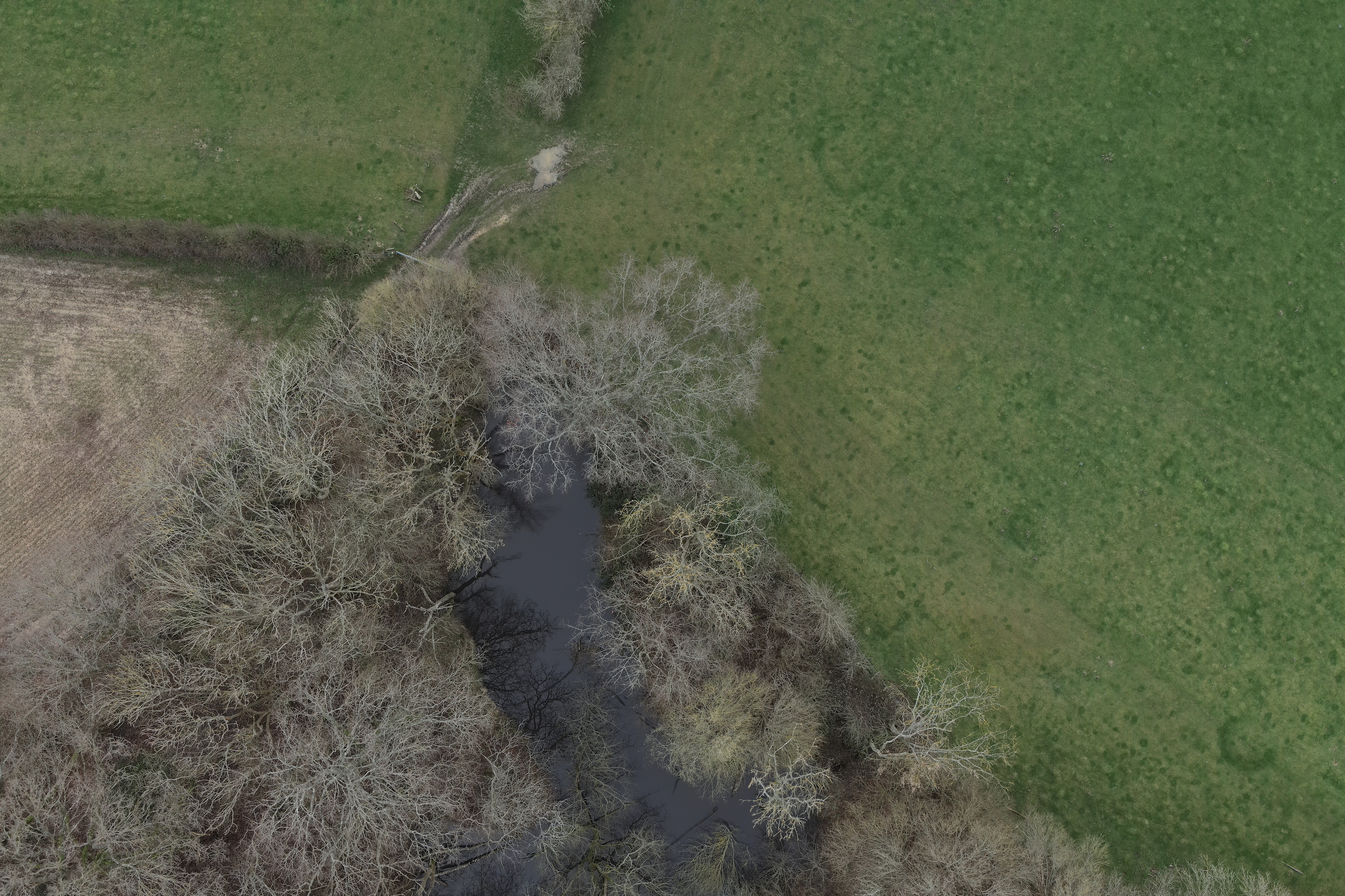 Furnace Farm BNG - Kent Wildlife Trust