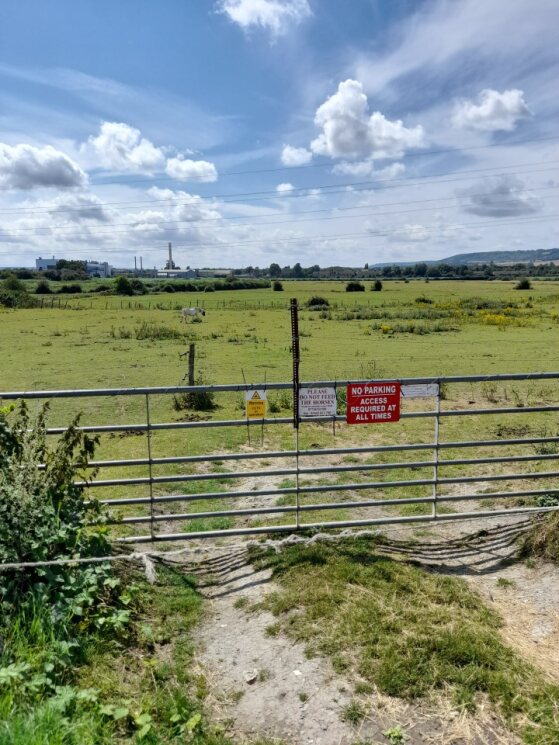 Ringshill Farm BNG offset site Kent
