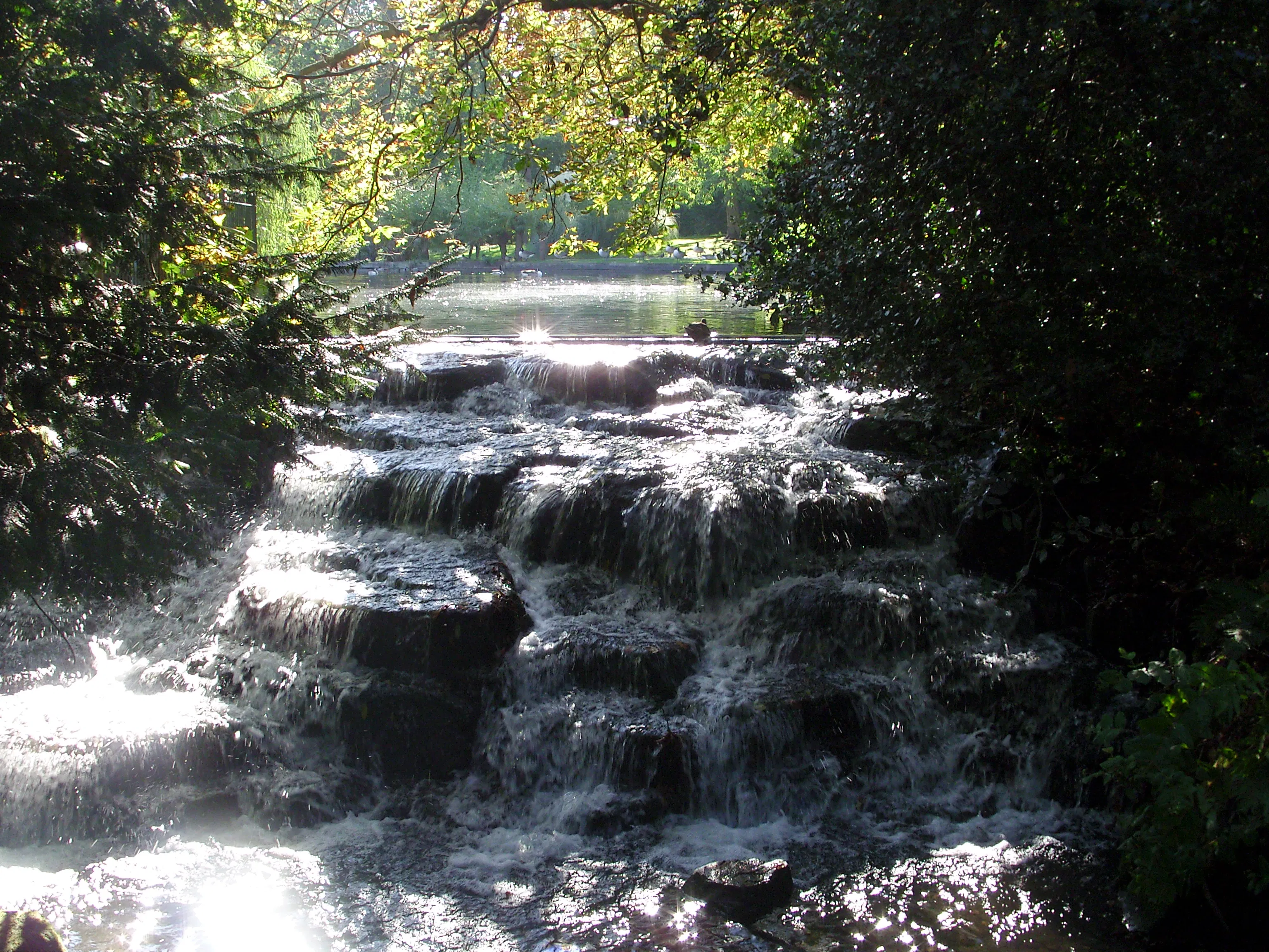 River Condition Assessments (MoRPh)