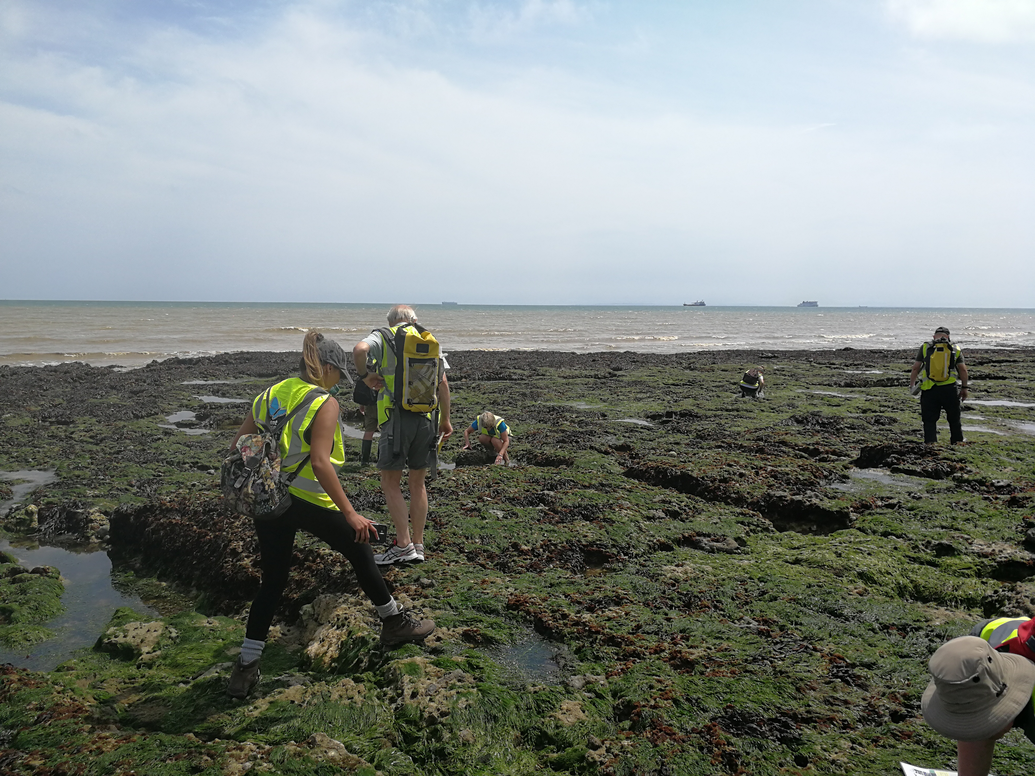 nature-based solutions and BNG training