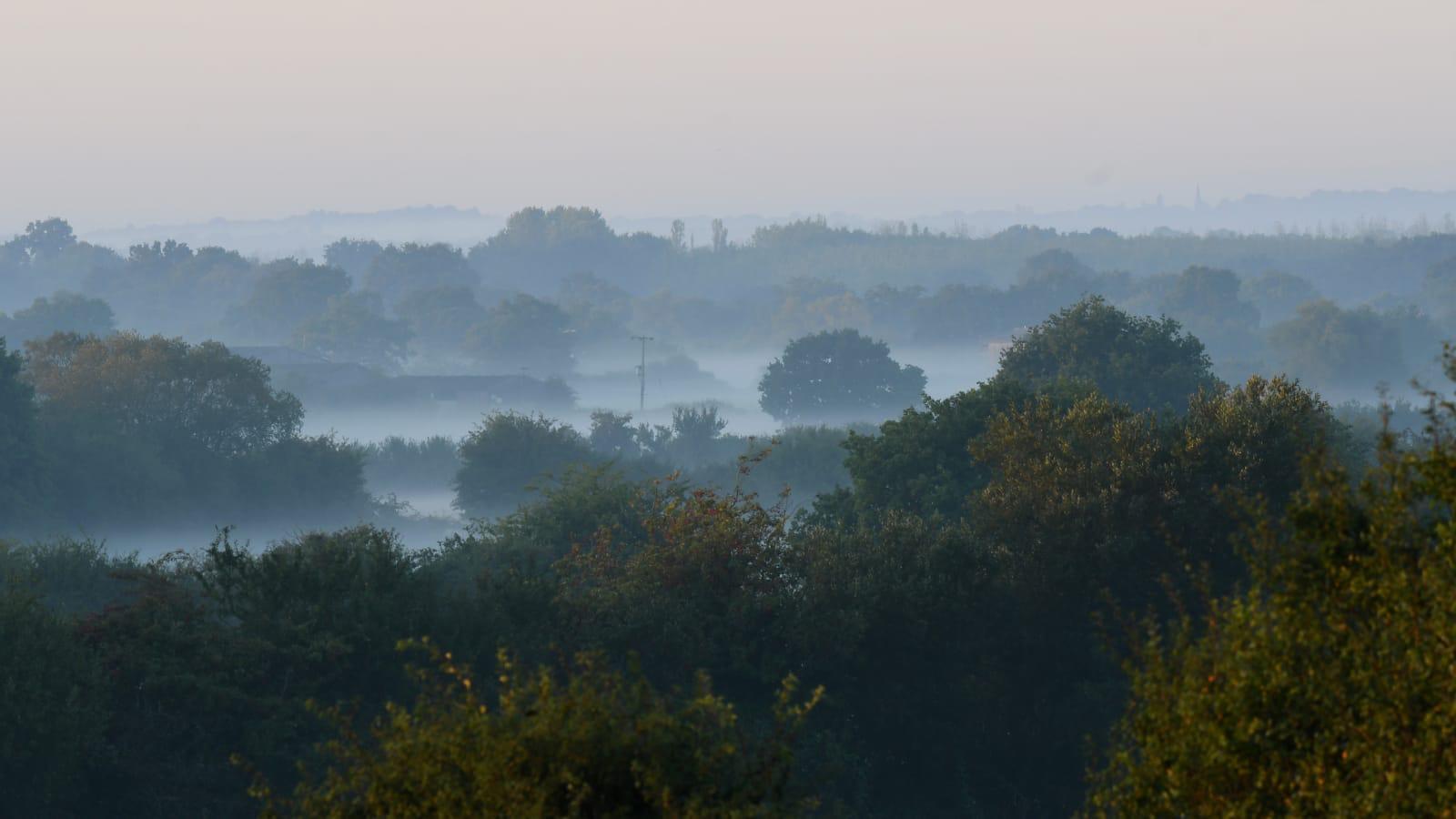 Coldharbour Farm BNG offset site in Ashford, Kent