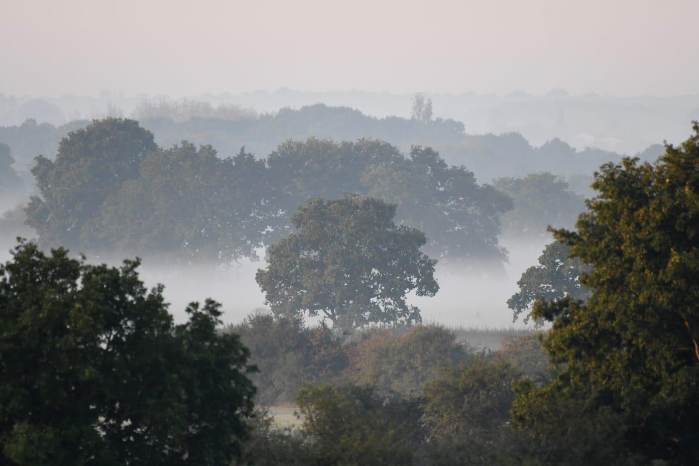 Coldharbour Farm BNG offset site in Ashford, Kent