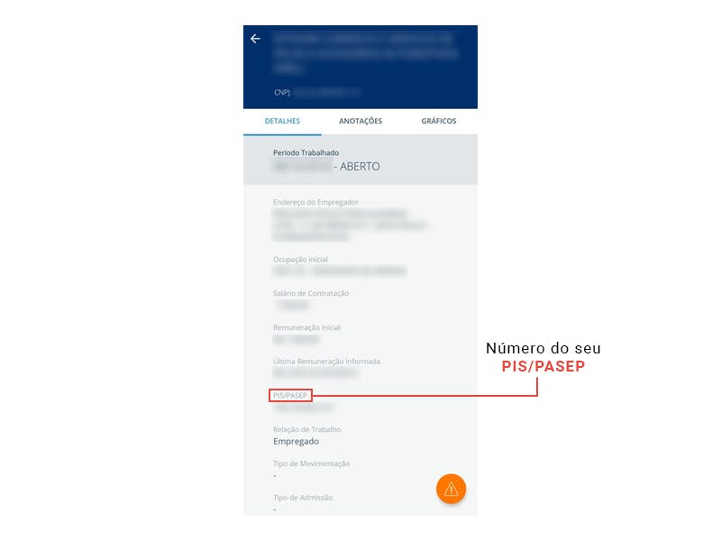 NIS, NIT, PIS e PASEP: entenda as diferenças