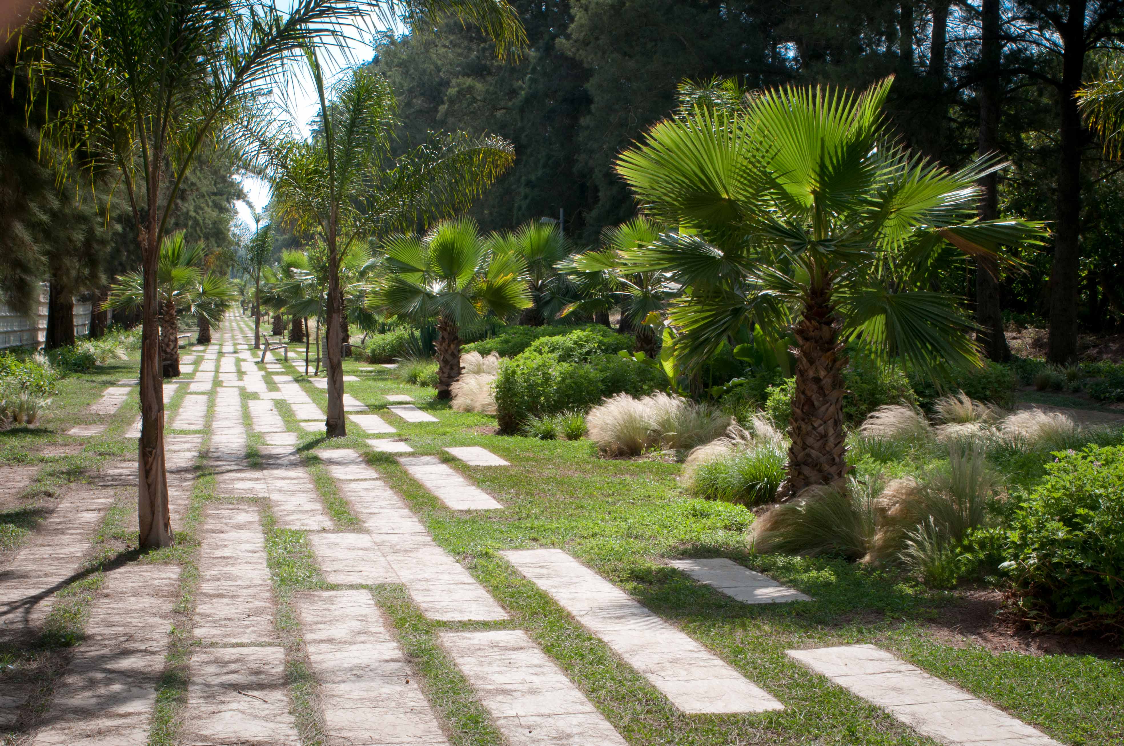 Domaine de Dar Essalam - agence ter