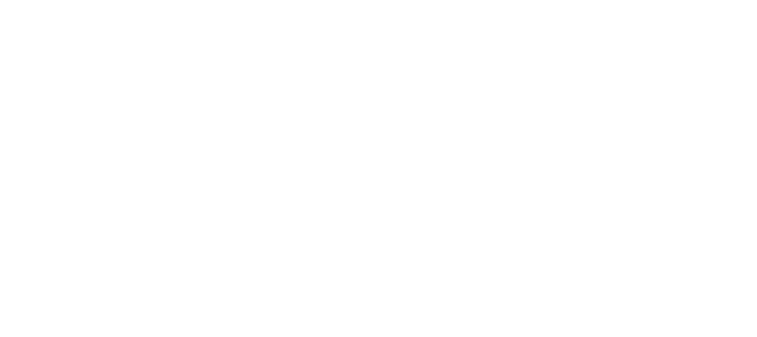 About Ai Alliance