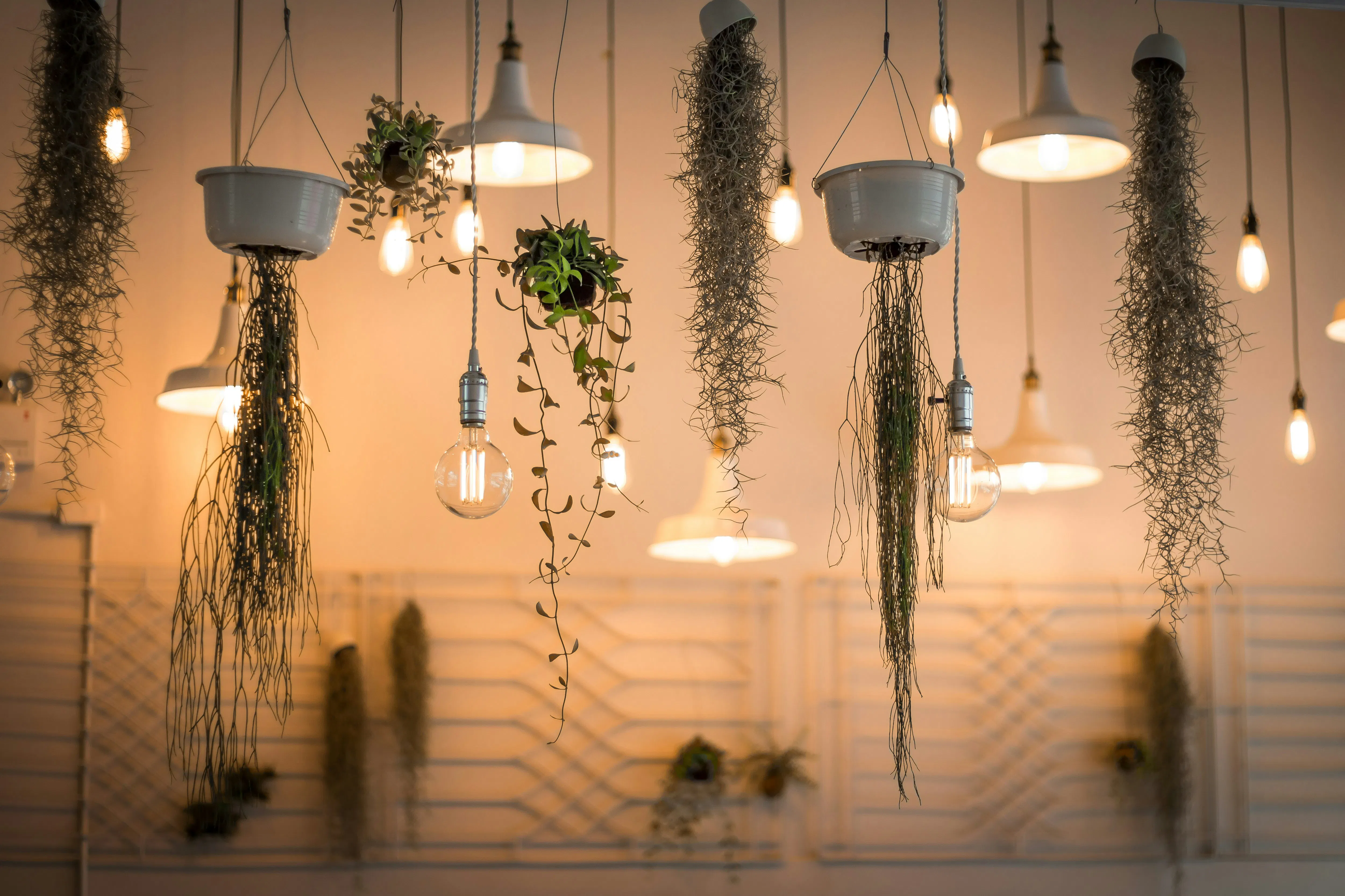 How to Maximize Your STR’s Appeal with Renter-Friendly Lighting