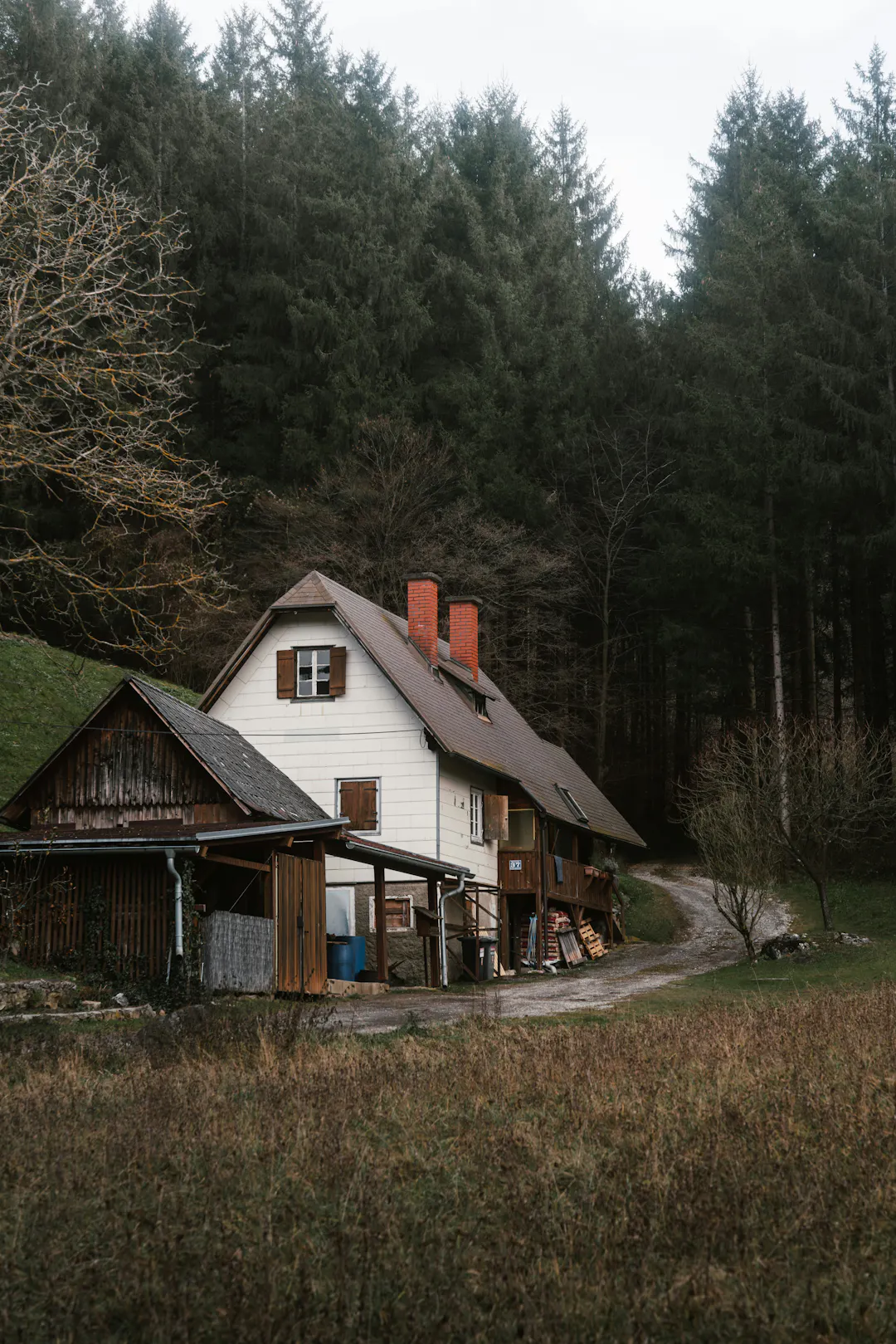 Dwelling House Exemption Ireland: Inherit a Home Tax-Free | Irish Tax Hub