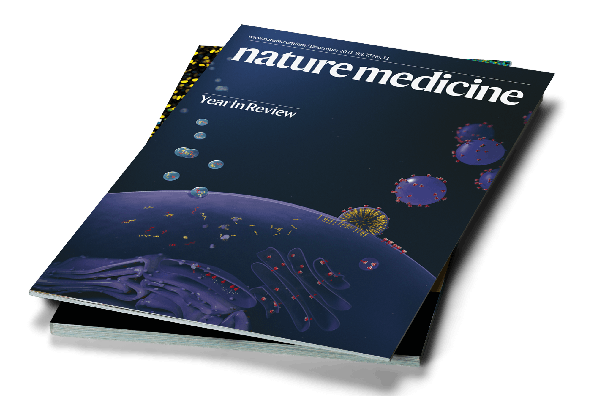 English Editing & Author Services for Clinical Medicine | AJE