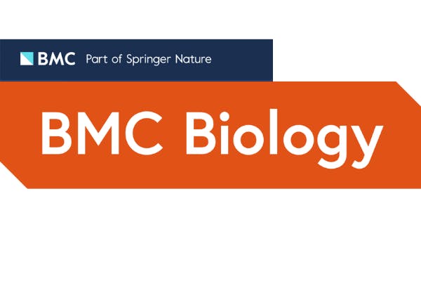 BMC Biology Article Template - [Free Template] | AJE