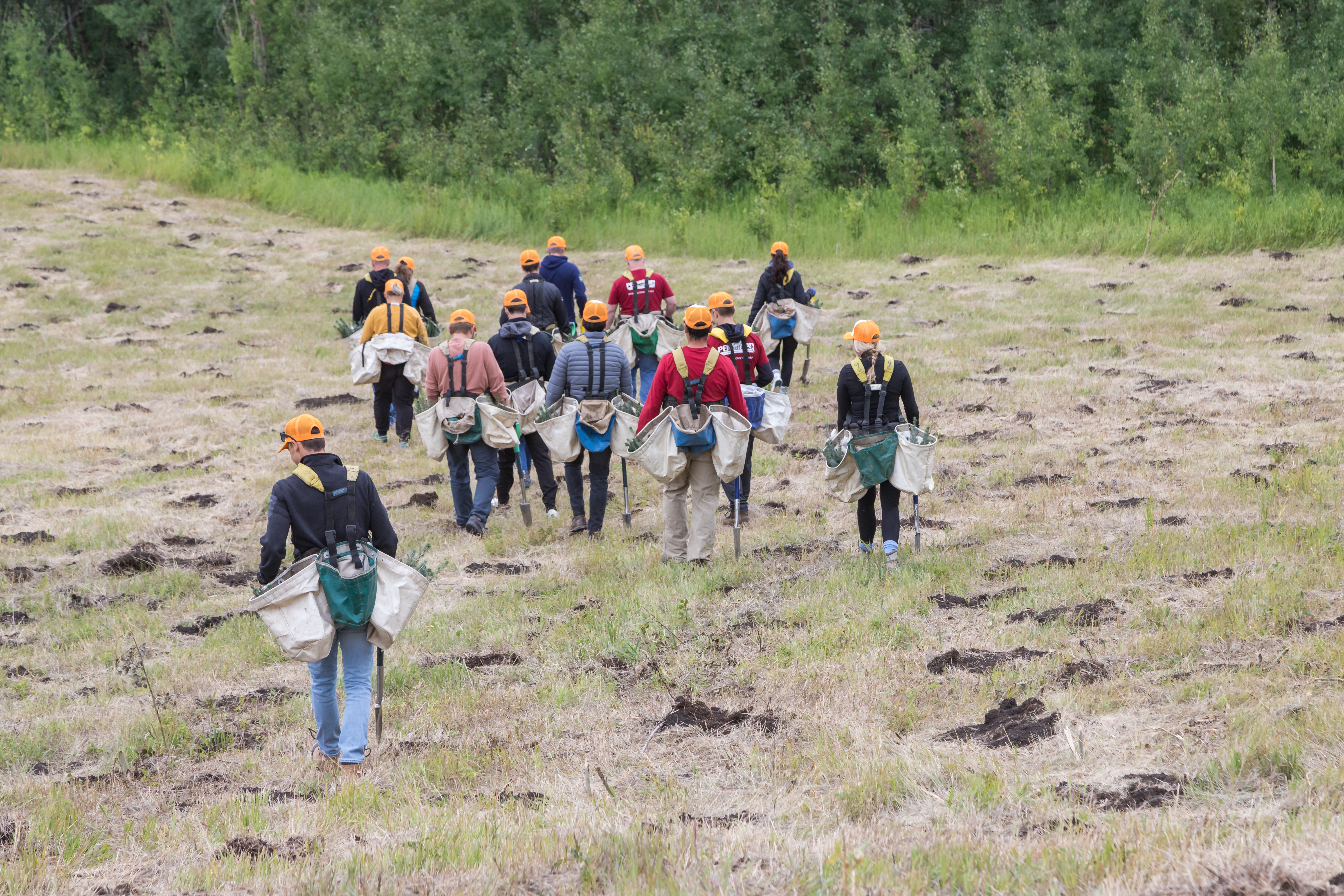 Project Forest Indigenous Land partnership project | Alberta Ecotrust ...
