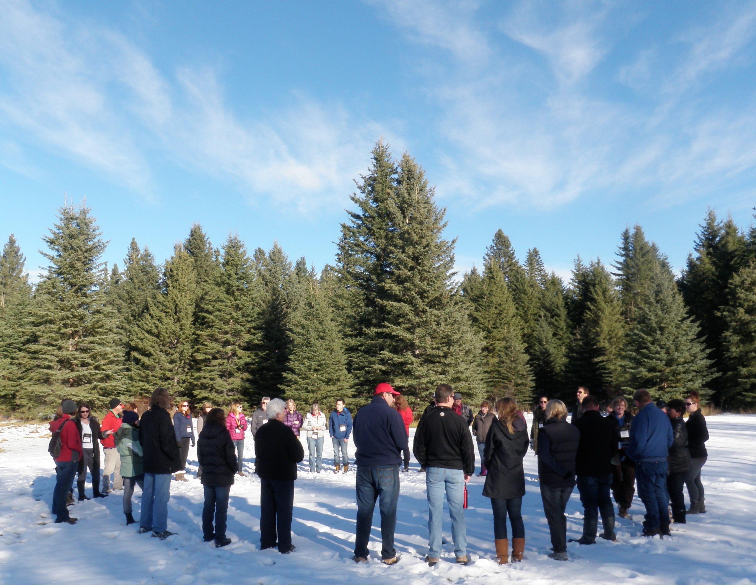 Bolstering environmental and climate education in schools | Alberta ...
