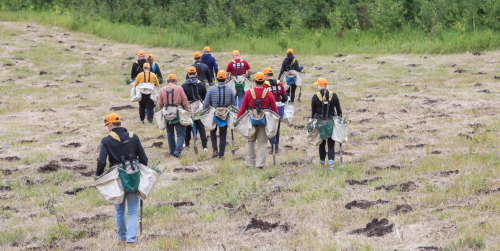 Ten environmental organizations receive capacity building grant ...