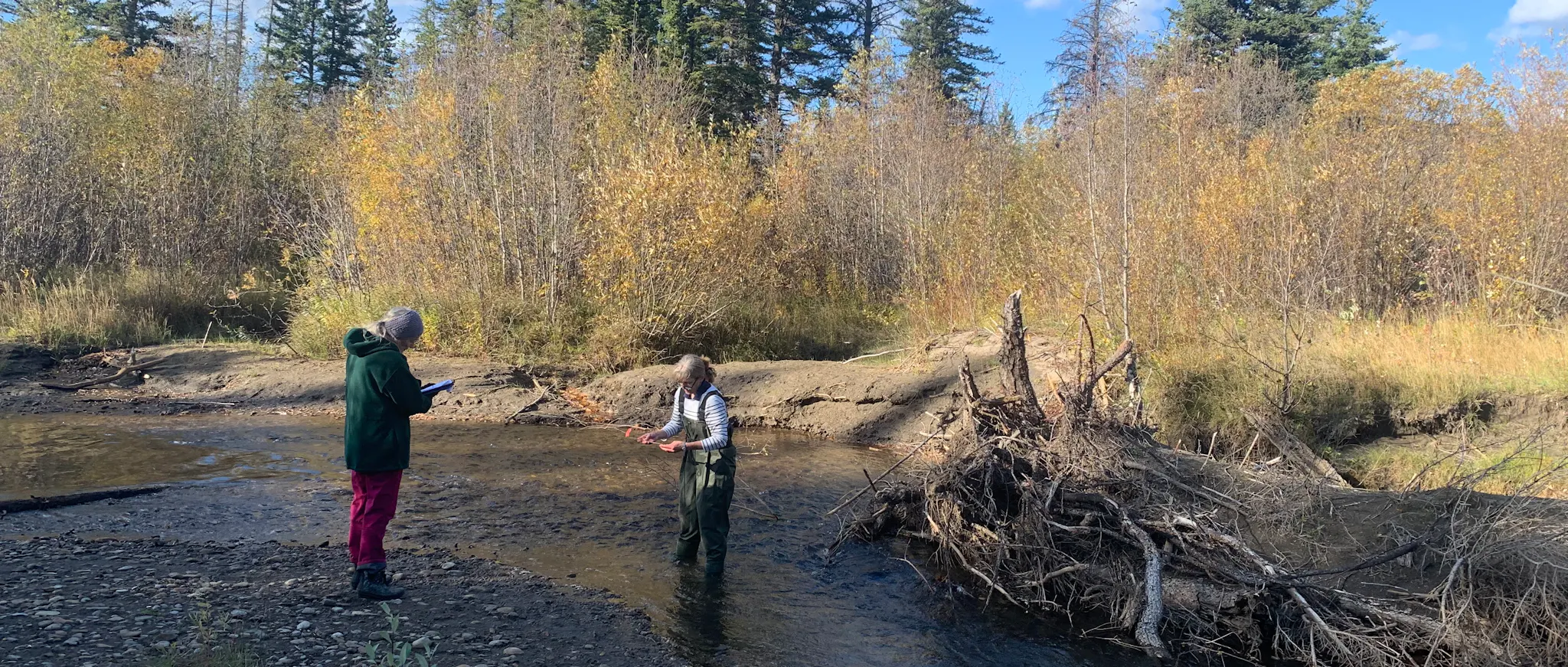 Environmental Organizations Receive Capacity-Building Funding | Alberta ...