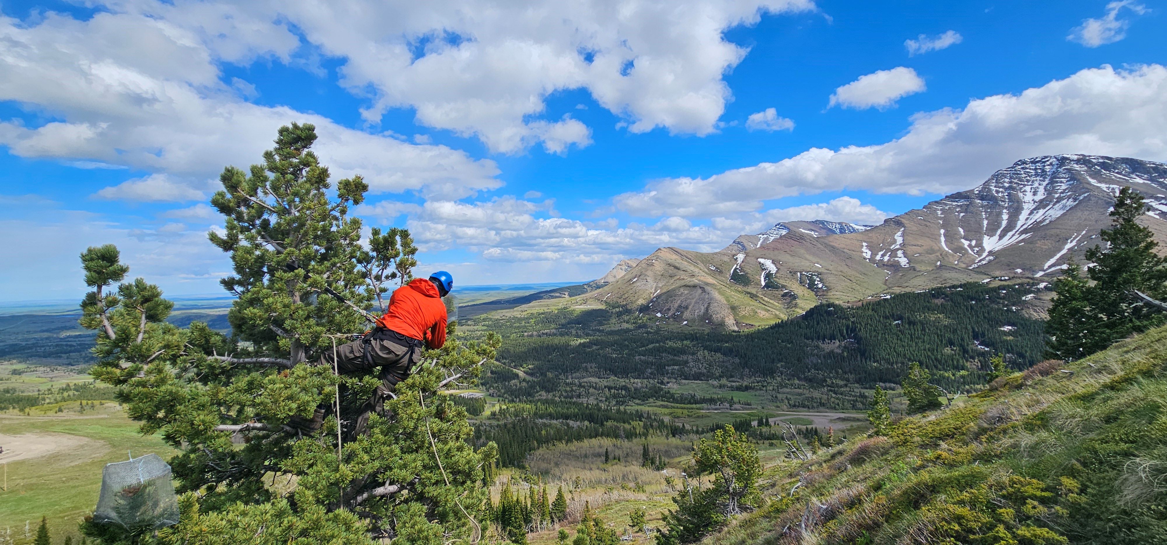 Alberta Ecotrust grants $745,000 to support local environmental ...