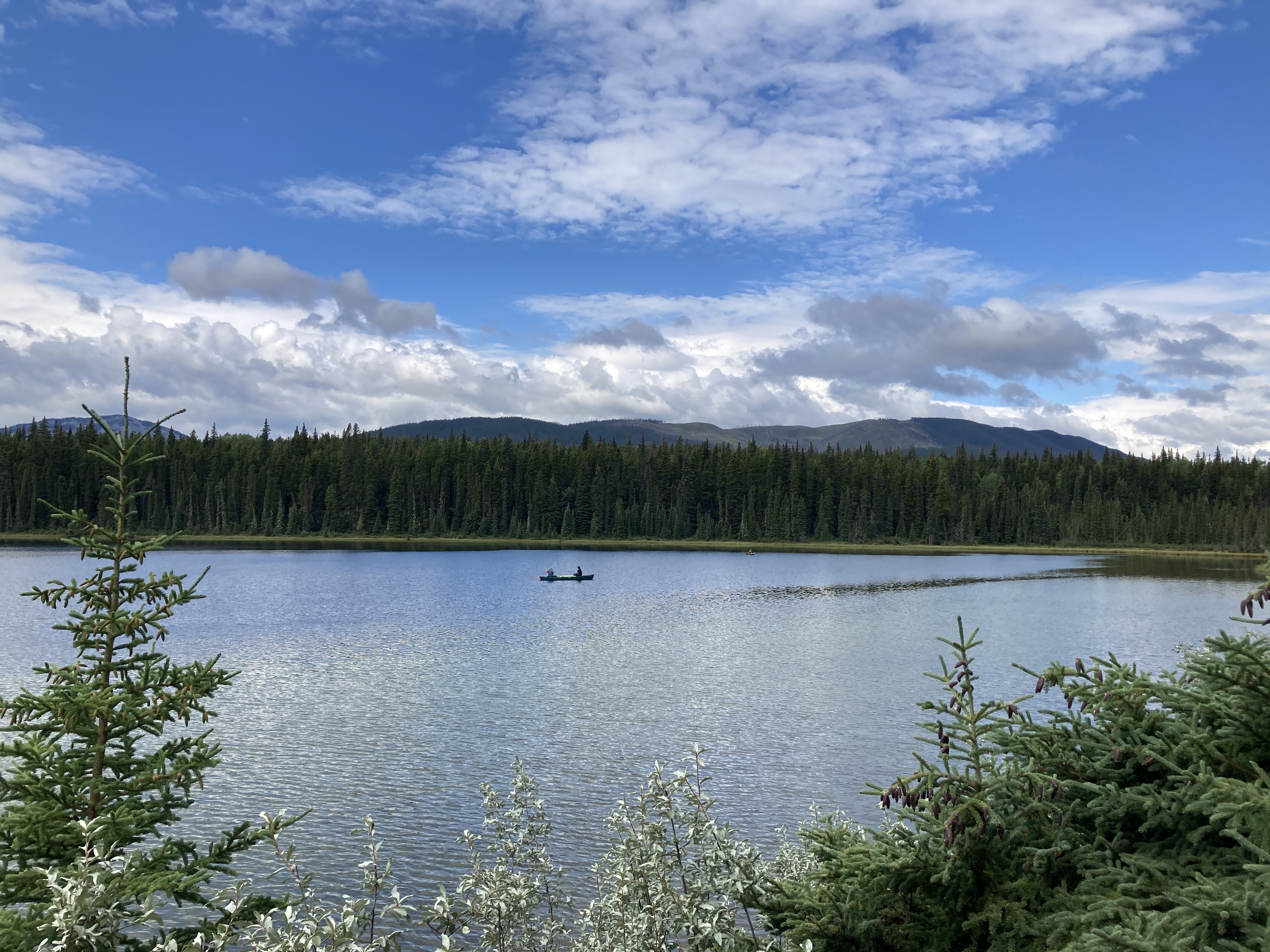 Navigating the future: Alberta Ecotrust's new vision, mission and five ...
